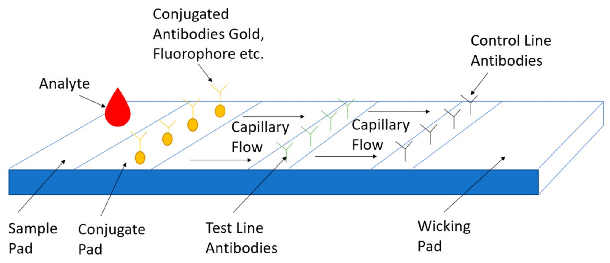 COVID-19 Biomarkers and Advanced Sensing Technologies for Point-of-Care ...